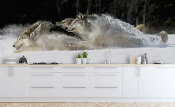 Wolf Wallpaper and Wall Murals | Wallsauce UK