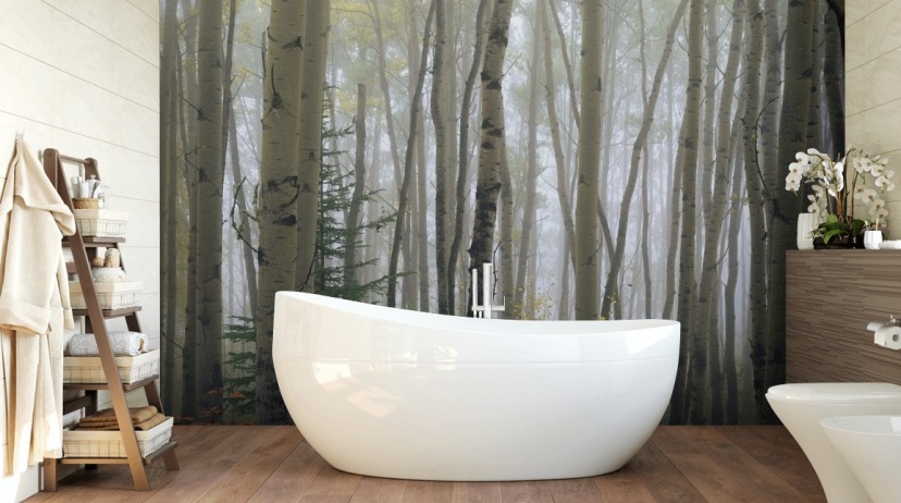 Birch Tree Wallpaper & Wall Murals | Wallsauce UK