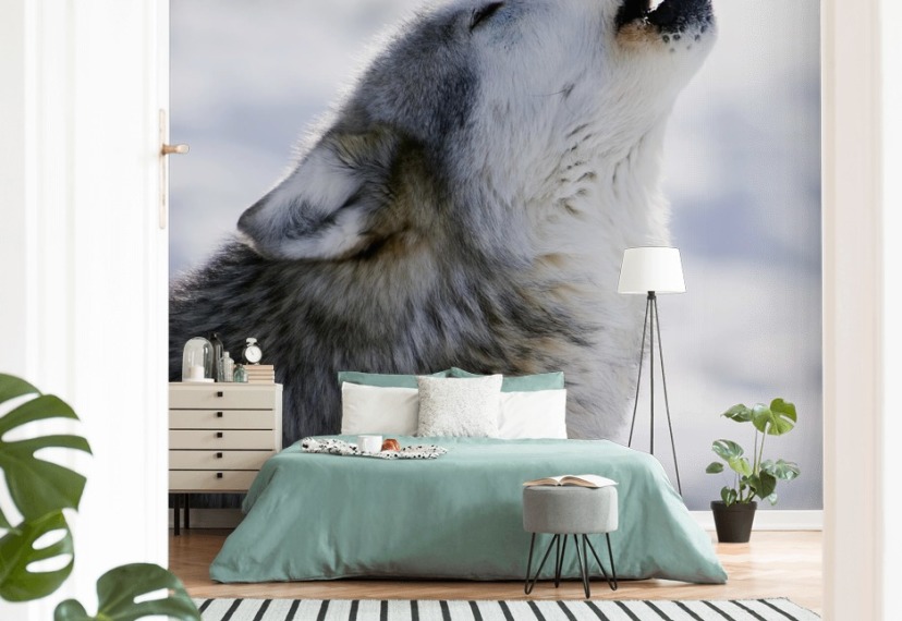 Wolf Wallpaper and Wall Murals | Wallsauce UK