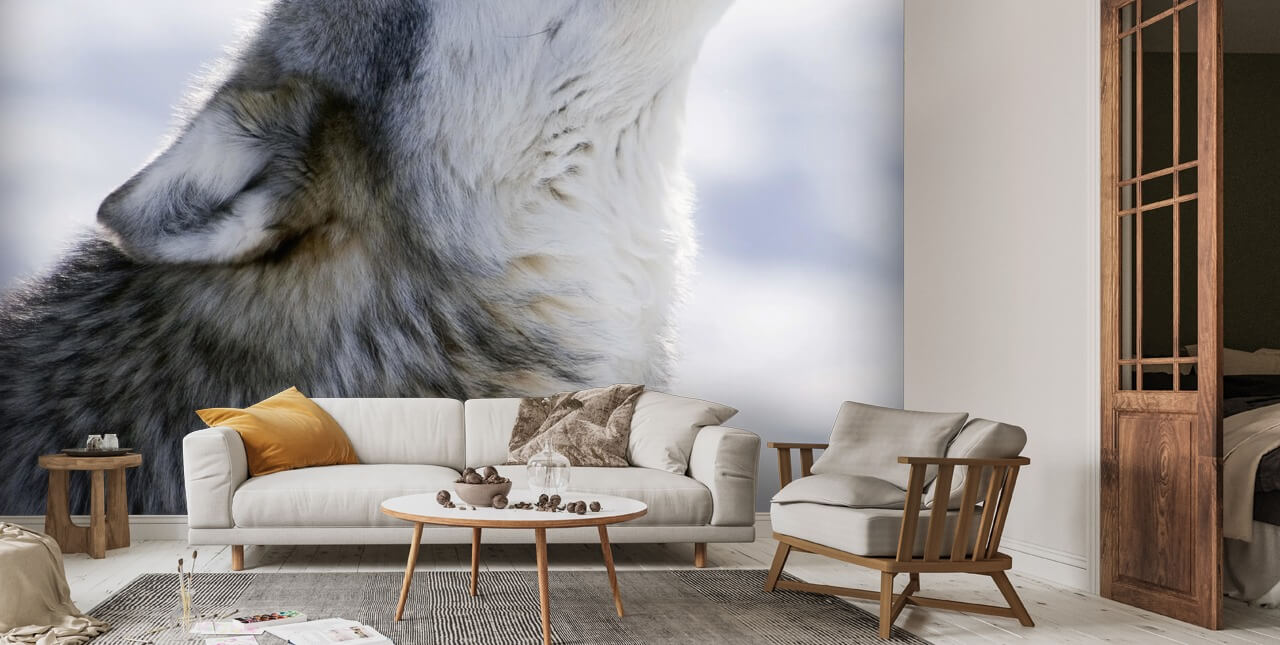 Gray Wolf Howling in Winter Wall Mural | Wallsauce US