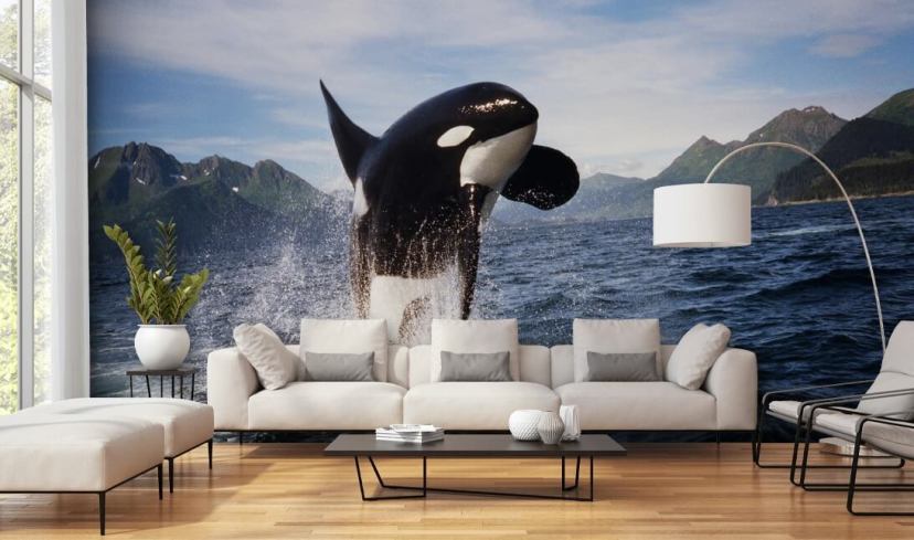 Tapeten-Wandbilder mit Walen | Wallsauce DE