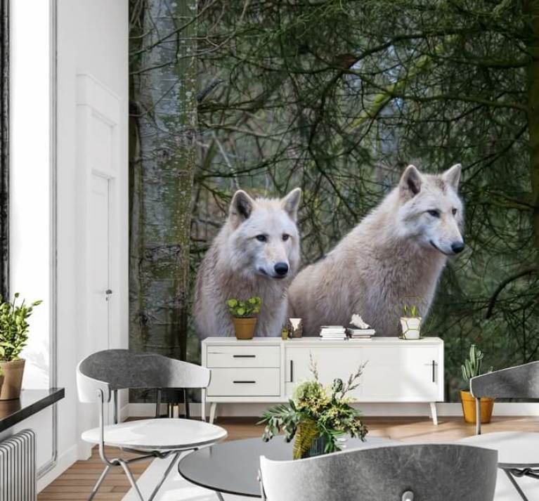 Wolf Wallpaper and Wall Murals | Wallsauce UK