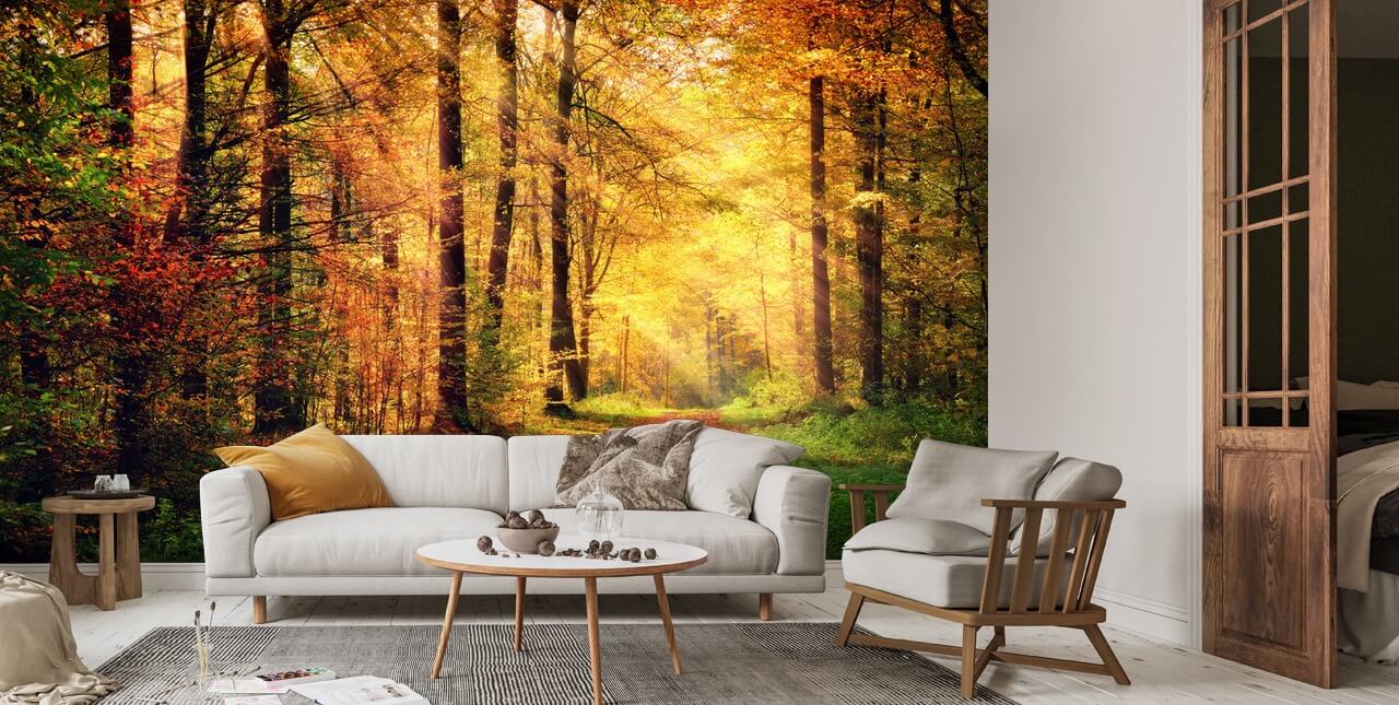 Autumn Forest with Rays of Warm Light Wallpaper | Wallsauce UK