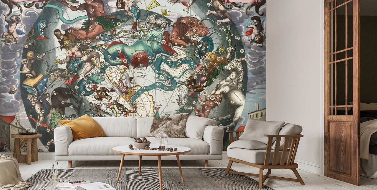 Scenography of the Southern Hemisphere Mural | Wallsauce UK