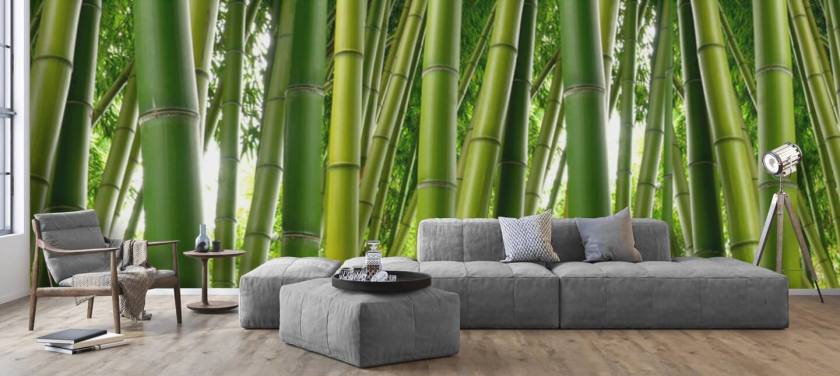 Panoramic Wallpaper - Panoramic Wall Murals | Wallsauce UK