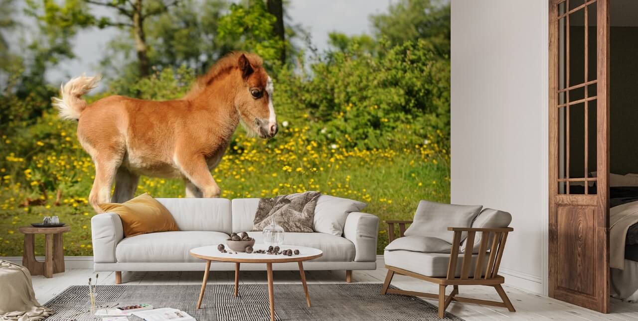 Spring Veulen behang | Wallsauce NL