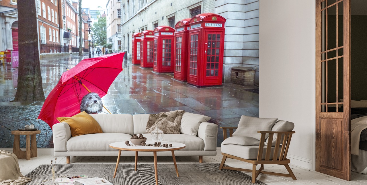 London Dog with Umbrella Mural | Wallsauce US