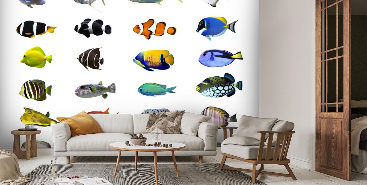 tropical fish collection Wallpaper Mural | Wallsauce CA