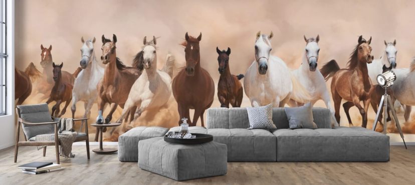 Horse Wallpaper & Wall Murals | Wallsauce UK