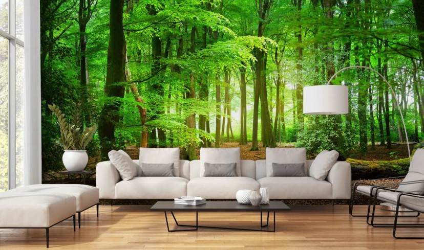 Waldtapeten und Wandmalereien mit Bäumen | Wallsauce DE
