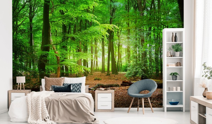 Bedroom Wallpaper Murals | Wallsauce UK