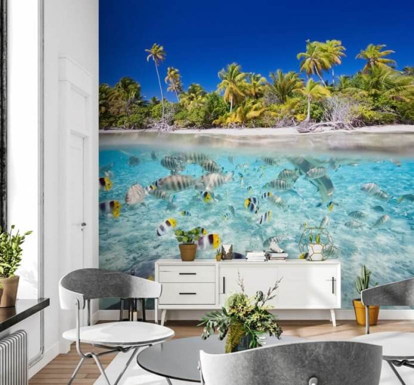 Fish Wallpaper & Tropical Fish Murals | Wallsauce US