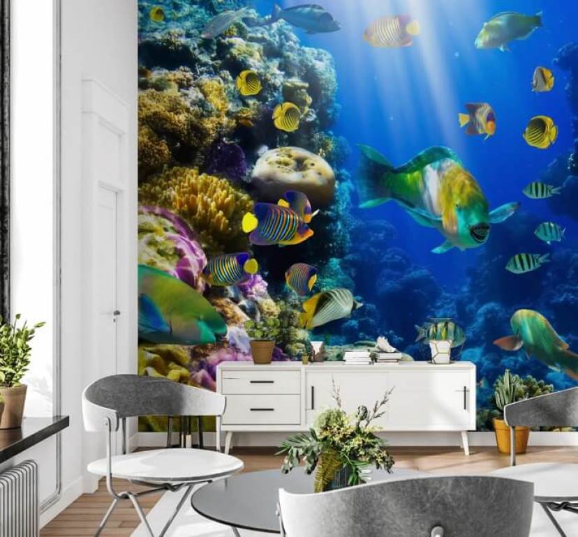 Underwater Wallpaper & Wall Murals | Wallsauce UK
