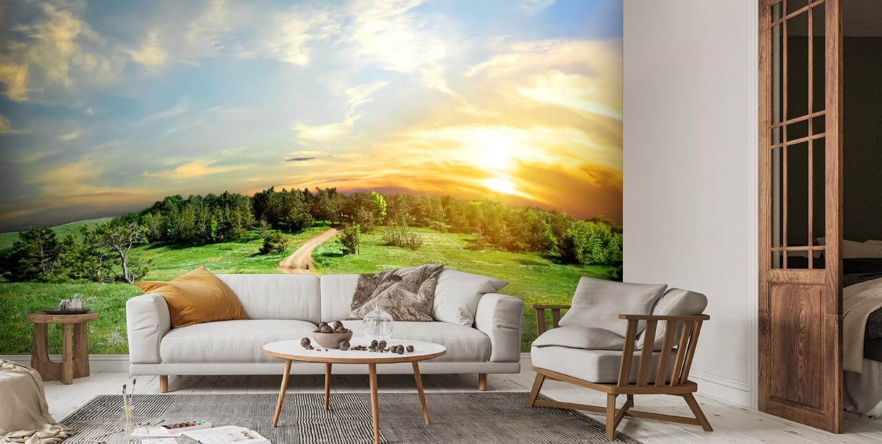 Country Track Wallpaper | Wallsauce US