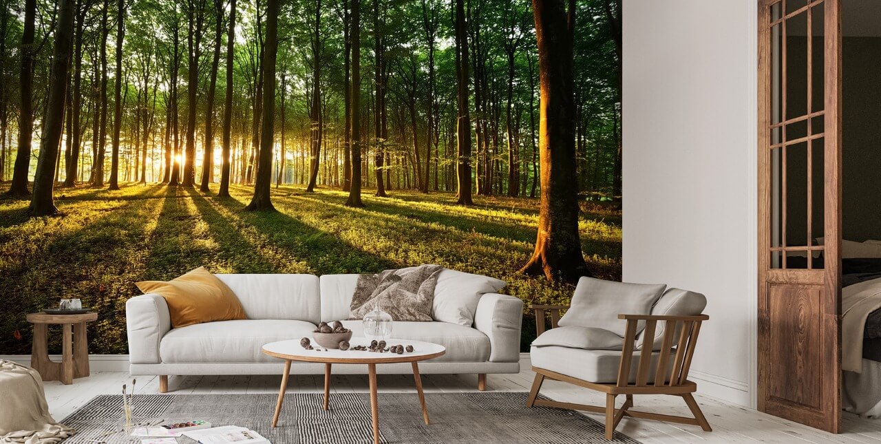 Rays of Light Wall Mural | Wallsauce UK