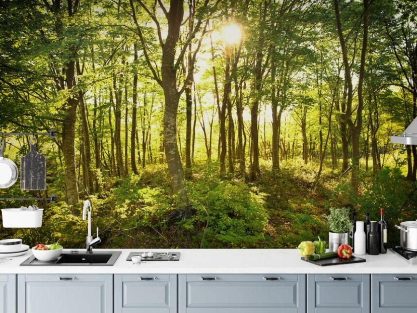 Green Wallpaper Green Wall Murals | Wallsauce EU