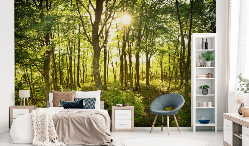 Carta da parati da letto Murales per camera da letto | Wallsauce IT