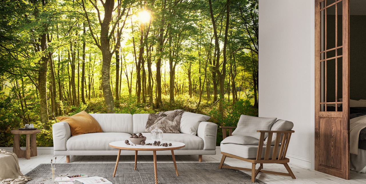 Carta da parati Enchanted Woodland | Wallsauce IT