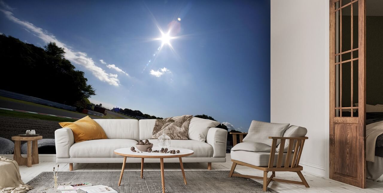 Degner Curve, Suzuka, Japan Wall Mural | Wallsauce US