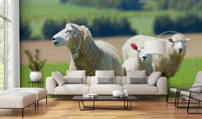 Sheep Wallpaper & Wall Murals | Wallsauce UK