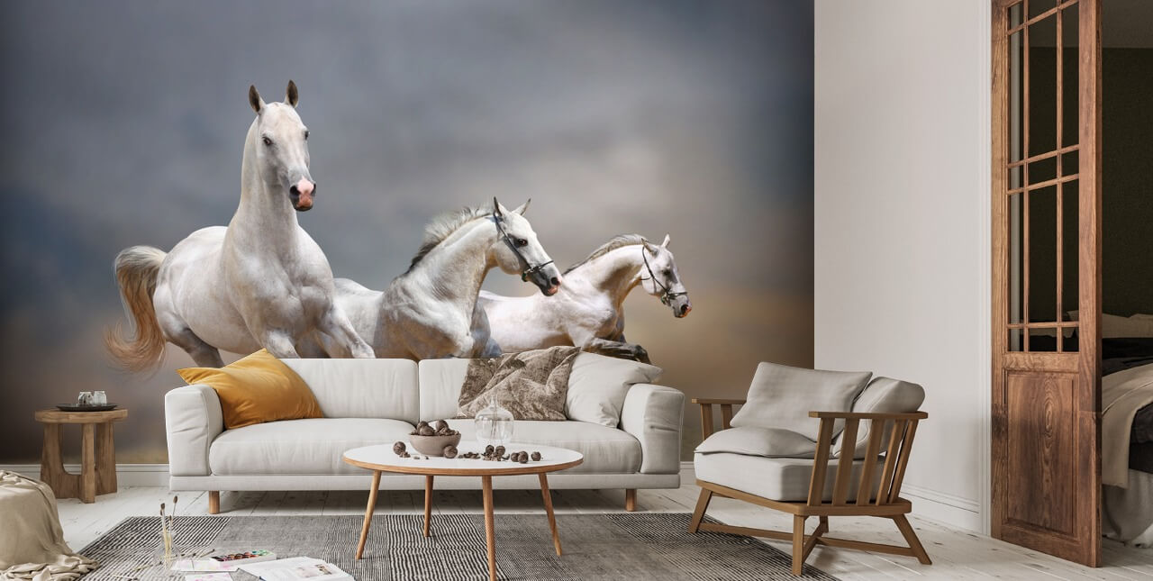 Galopperende paarden behang | Wallsauce NL