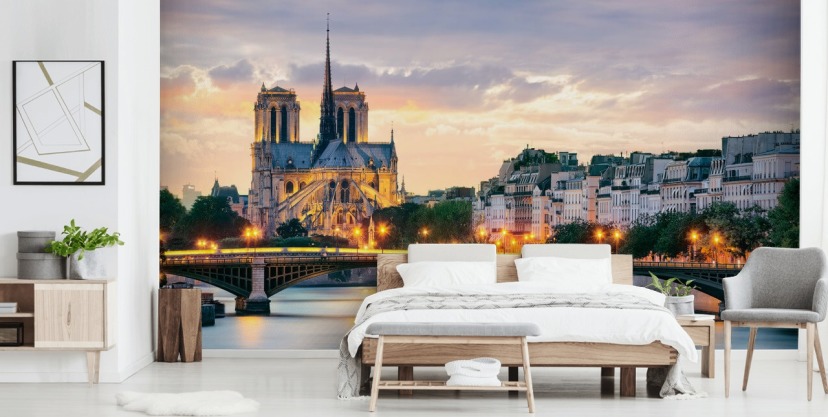 Paris Wallpaper & Wall Murals | Wallsauce CA