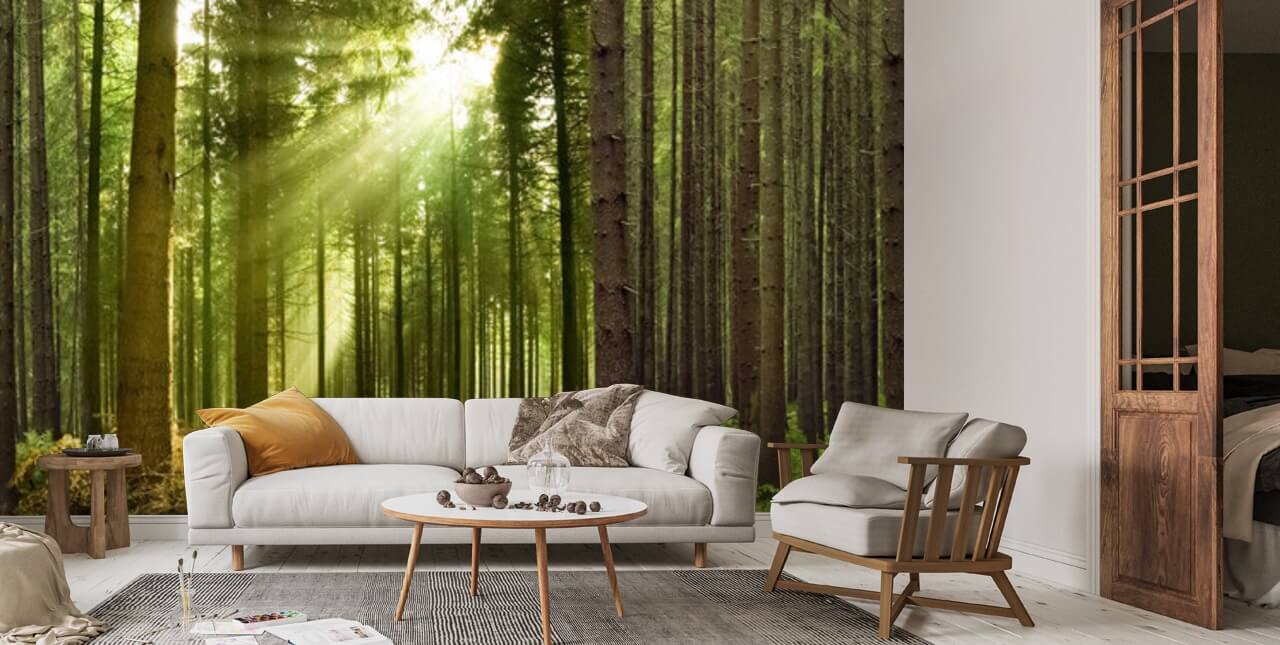 Panoramisk skogbakgrunn | Wallsauce NO