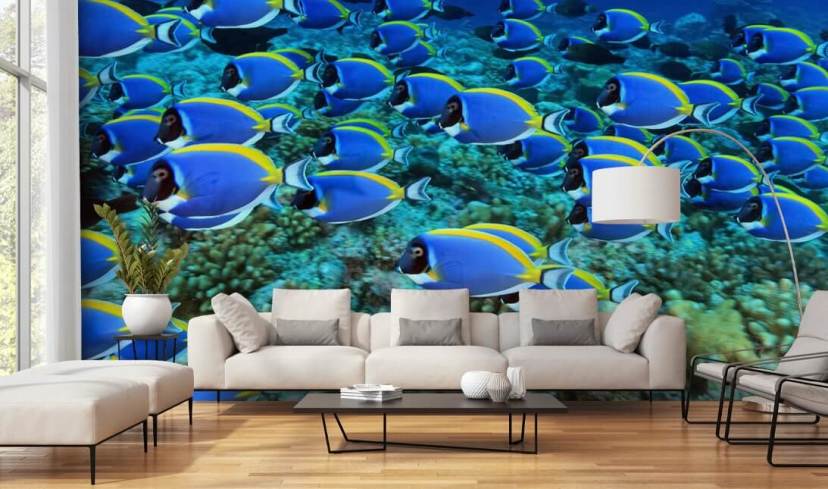 Fish Wallpaper & Sea Life Wall Murals | Wallsauce EU