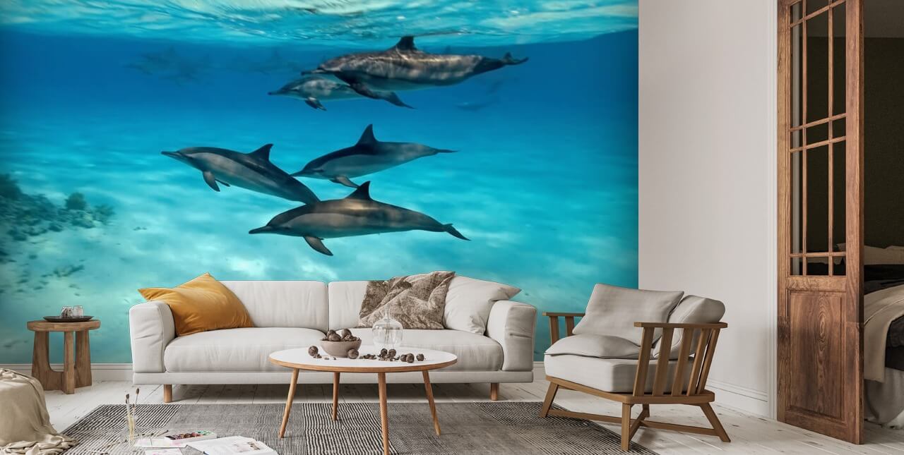 Dolphin Family Wall Mural | Wallsauce US