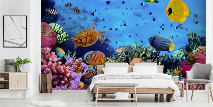 Fish Wallpaper & Tropical Fish Murals | Wallsauce NZ