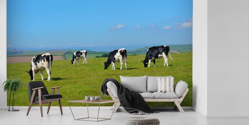 Cow Wallpaper & Wall Murals | Wallsauce AU