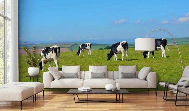 Cow Wallpaper & Wall Murals | Wallsauce US