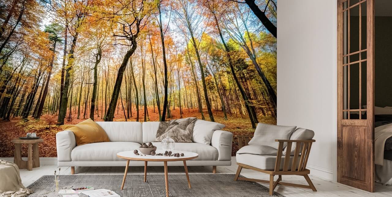 Herfst bomen behang | Wallsauce NL