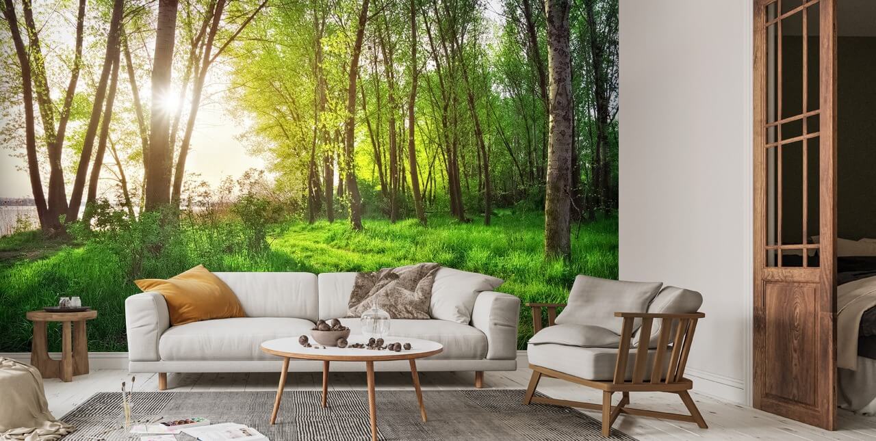 Papel de parede Spring Woodland Edge | Wallsauce PT