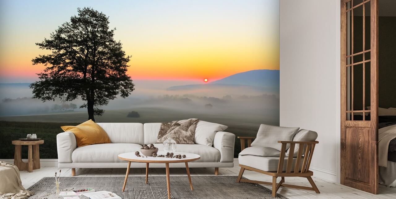 Tree Sunset Wall Mural | Wallsauce US