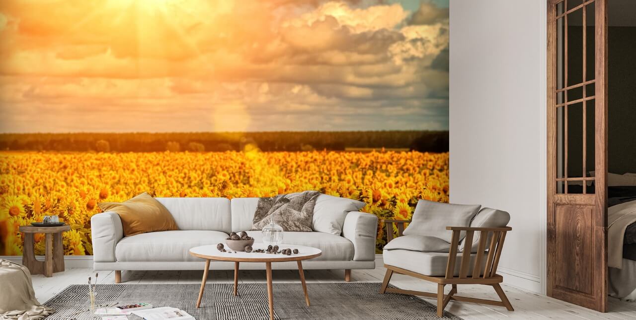 Summer Sunflowers Wall Mural | Wallsauce UK