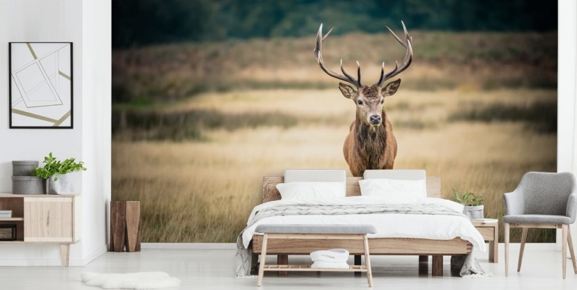 Stag Wallpaper & Deer Wallpaper | Wallsauce UK