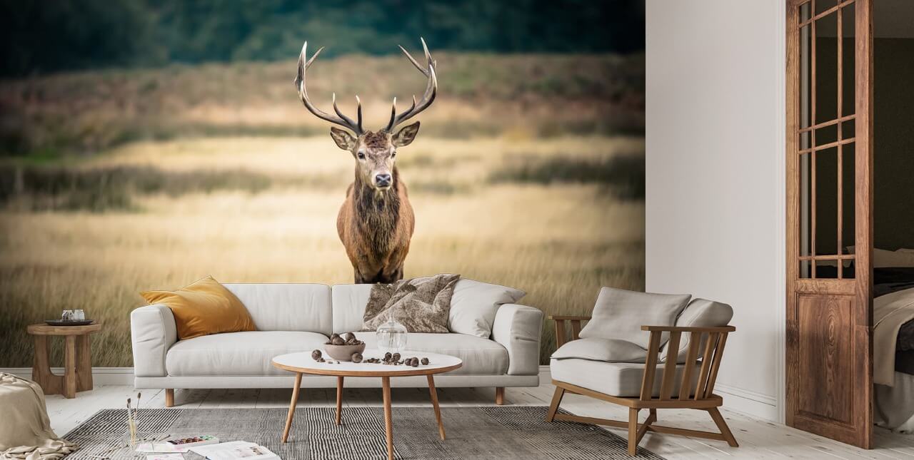 Red Deer Wall Mural | Wallsauce US