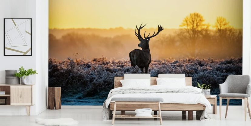 Stag Wallpaper & Deer Wallpaper | Wallsauce US