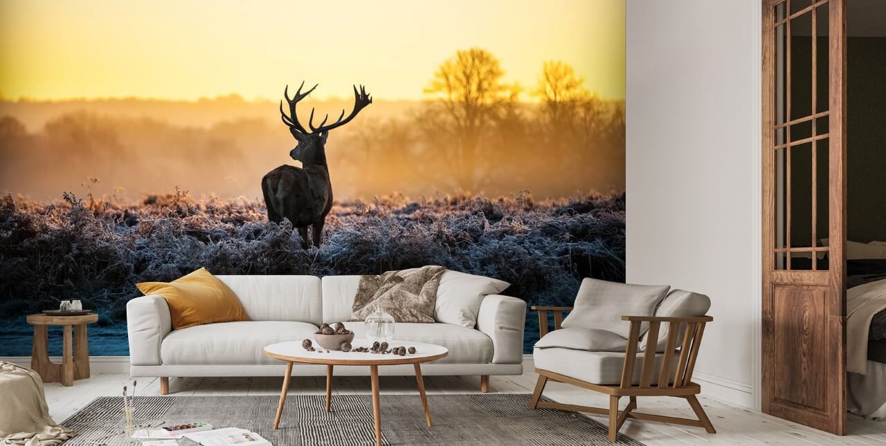 Red Deer Sunrise Wallpaper | Wallsauce US