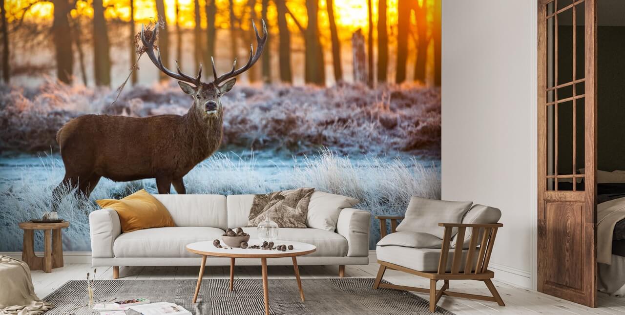 Rothirsch Wintertapete | Wallsauce DE