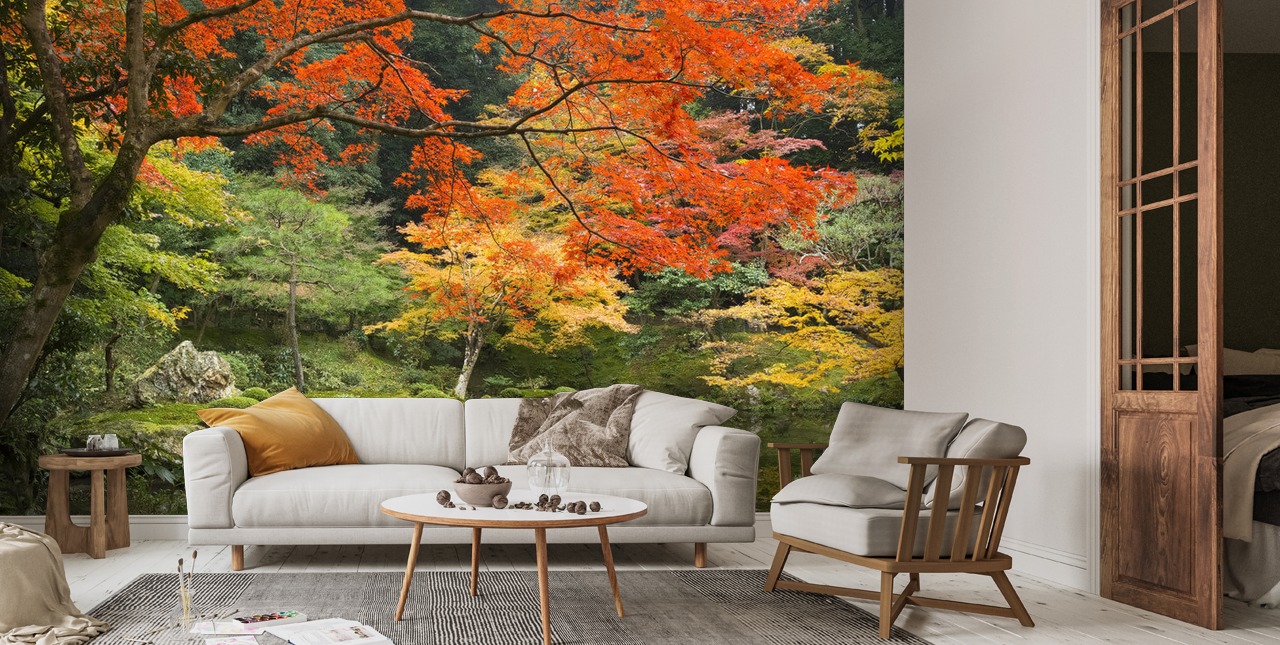 Autumn Woodland Colours Wallpaper | Wallsauce UK