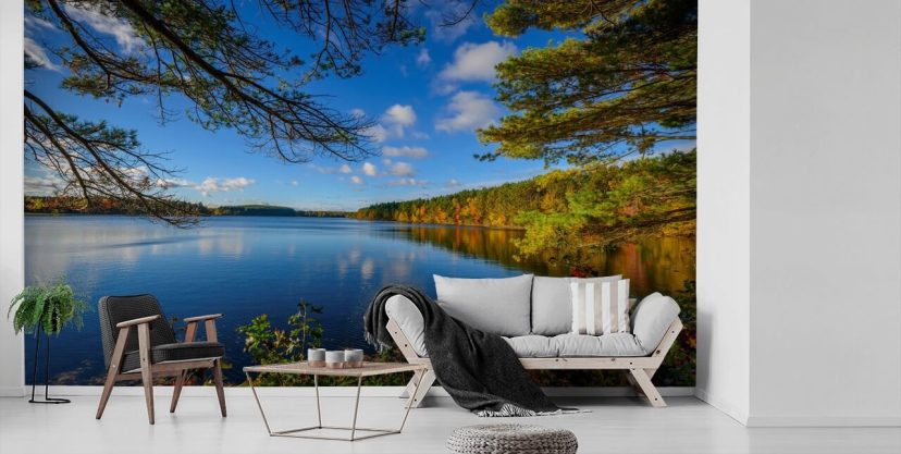 Lake Wallpaper & Wall Murals | Wallsauce UK