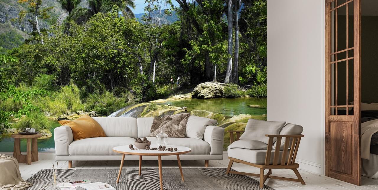 El Nicho Waterfall, Cuba Wallpaper | Wallsauce CA