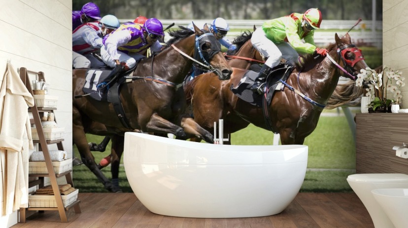 Horse Wallpaper & Wall Murals | Wallsauce US