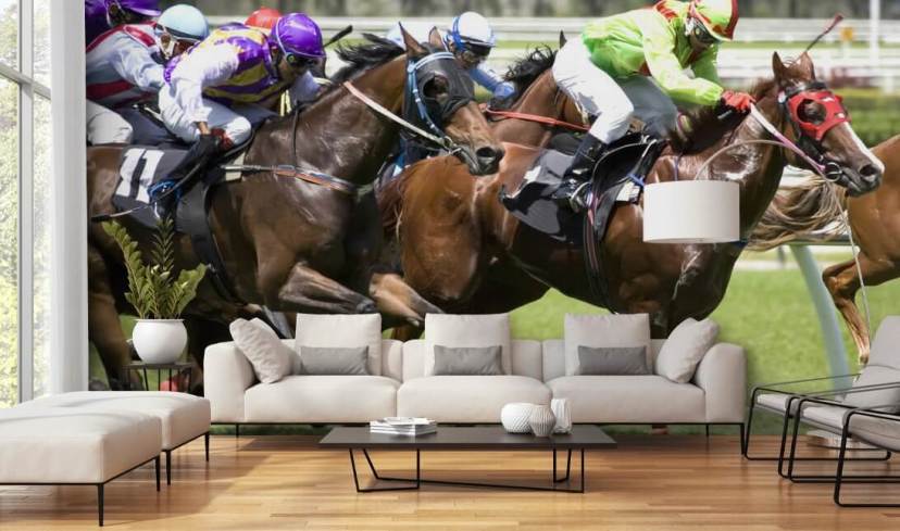 Horse Wallpaper & Wall Murals | Wallsauce AU