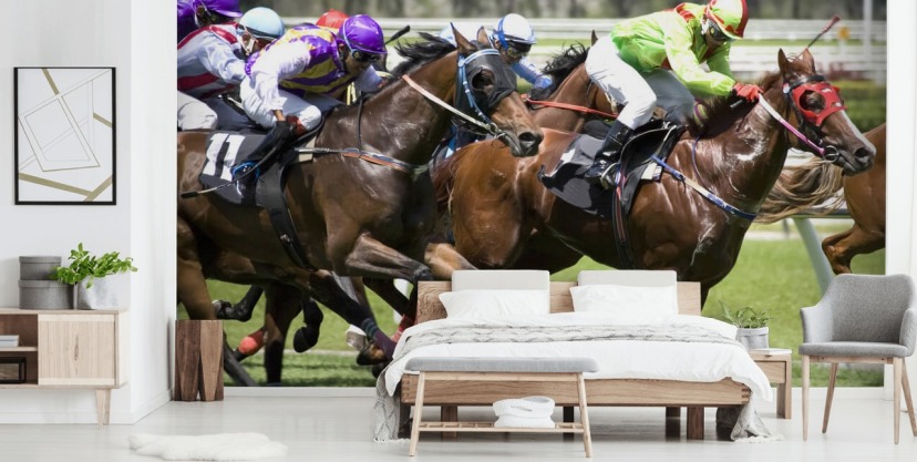 Horse Wallpaper & Wall Murals | Wallsauce UK