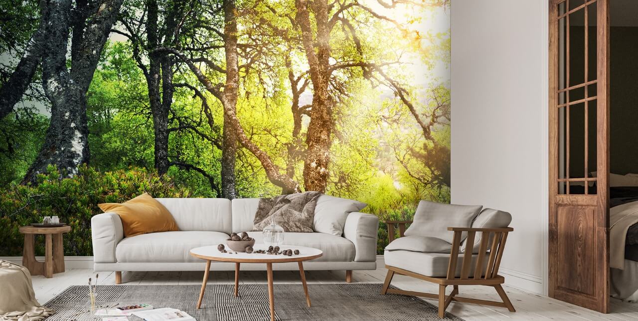 Mural de pared Bosque brillante | Wallsauce ES