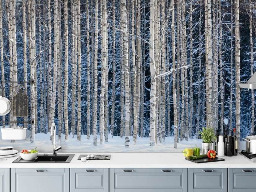 Birch Tree Wallpaper & Wall Murals | Wallsauce UK