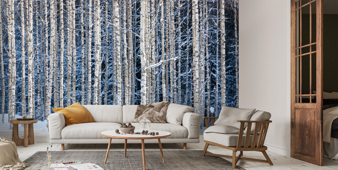 Behang met besneeuwd berkenbos | Wallsauce NL